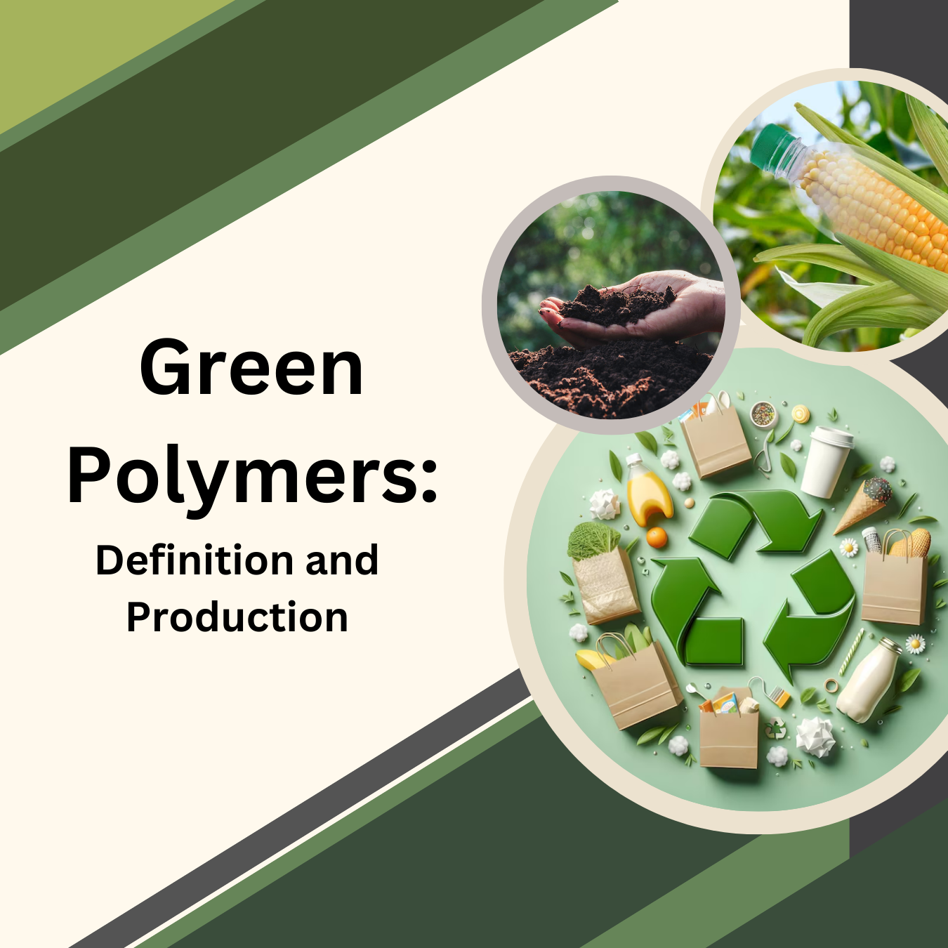 Green polymers: definition and production - بهین پردازان-behinpolimer